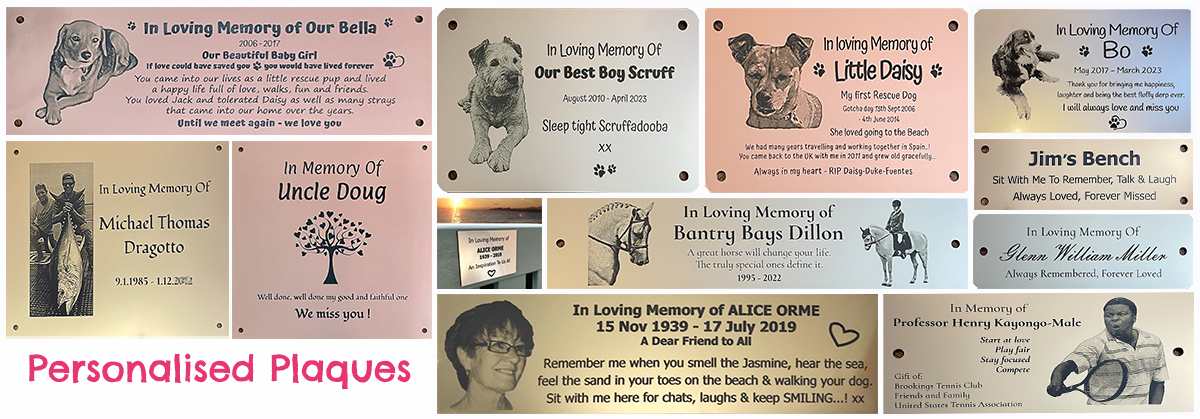 Rocky and Roxy | Personalised for PETS and PEOPLE